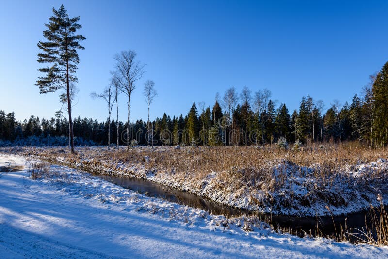 Frozen Country Side by the Forest Covered in Snow Stock Photo - Image ...
