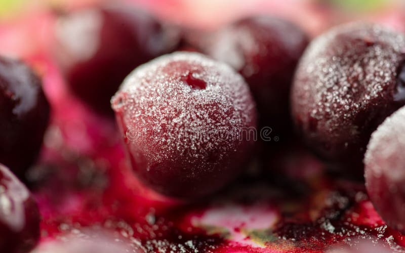 Frozen Cranberries in the Snow Stock Photo - Image of ingredient ...