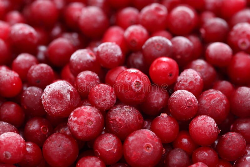 Frozen cranberry stock image. Image of frozen, cranberries - 45081251