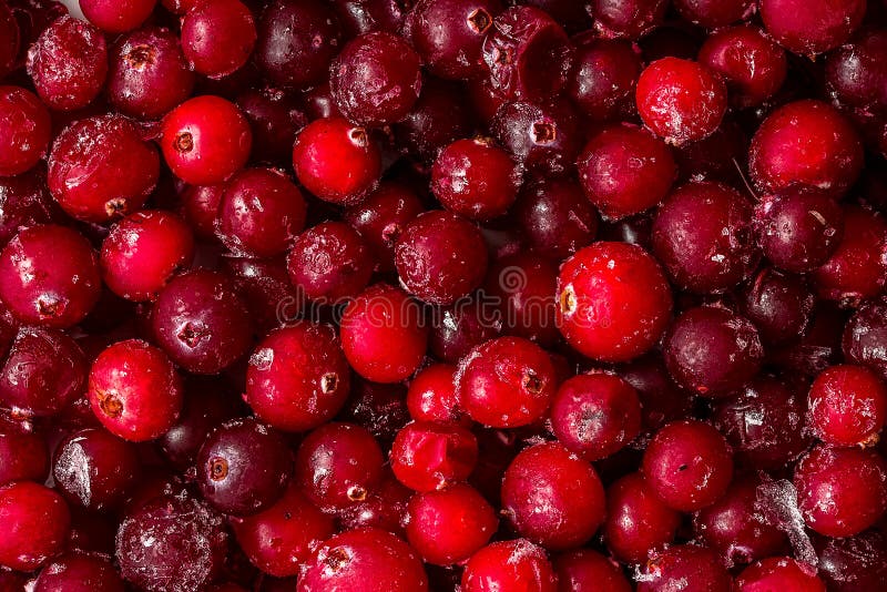 Red Cranberry Texture stock image. Image of cranberry - 7976635