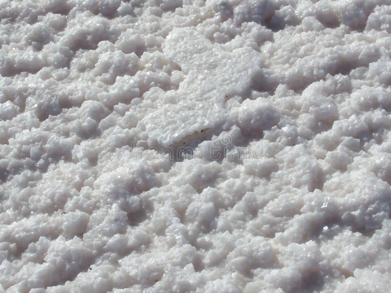 Frozen Crystals of Salt on a Salt Marsh Stock Image - Image of ...