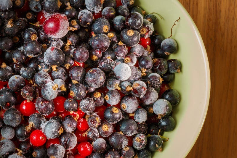 Frozen currant berries stock photo. Image of freezer - 92247154