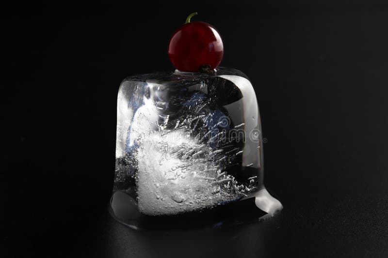 Frozen Currant Berry Lying on the Ice Cube Stock Image - Image of ...