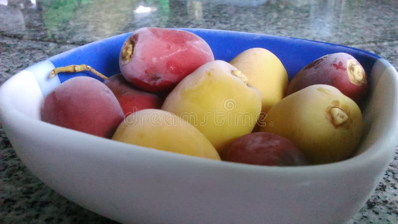 Frozen dates stock photo. Image of fruit, frozen, dates - 45183222