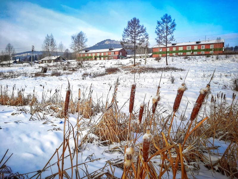 Frozen Day Sunny Old Town Snow Winter Stock Photo - Image of snow, town ...