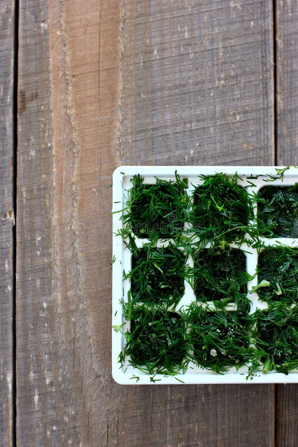Frozen dill stock photo. Image of beam, natural, twig - 44980764