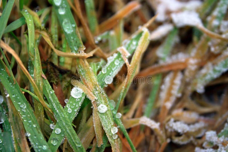 Frozen Drops Picture. Image: 7956037