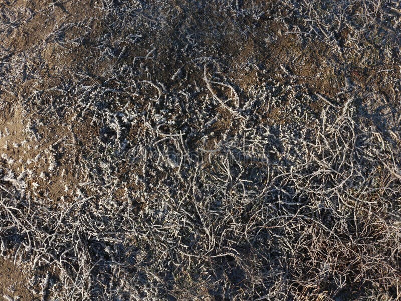 Frozen Ground Texture Background. Background of the Soil and Snow ...