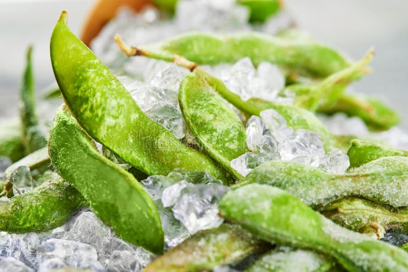 Frozen Edamame or Soybeans in the Mix with Crushed Ice on a Blue ...