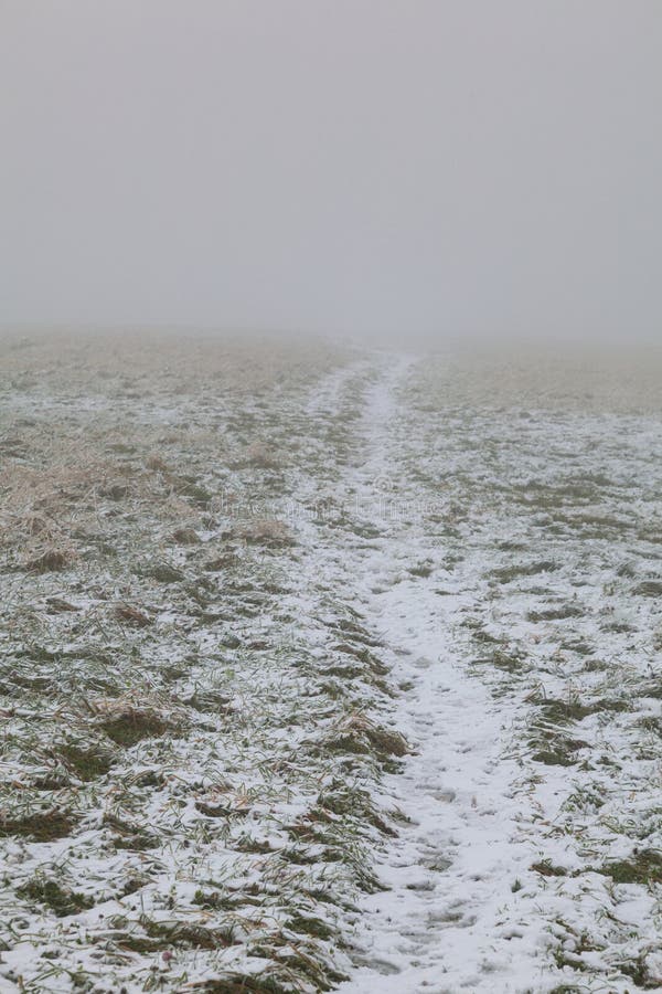 Appalachian Trail Frozen Fall Foliage Max Patch Stock Photos - Free ...
