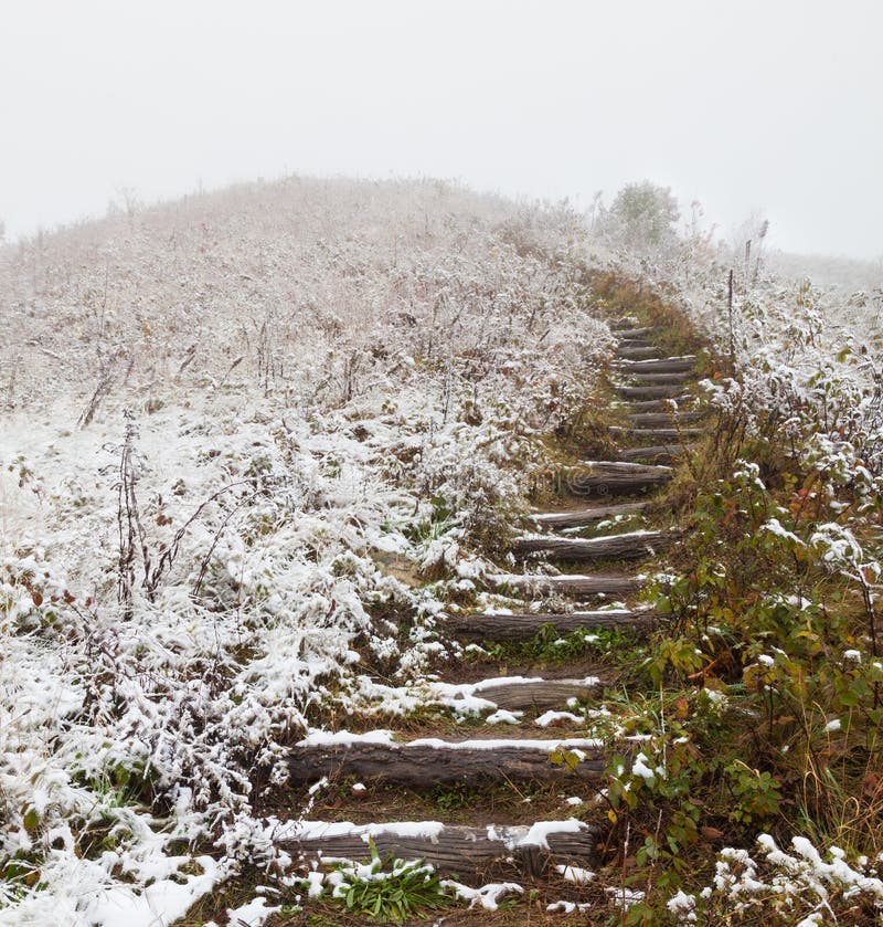 Appalachian Trail in Frozen Fall Foliage at Max Patch Stock Image ...