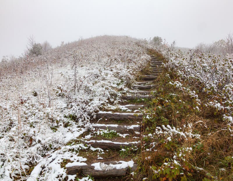 Appalachian Trail in Frozen Fall Foliage at Max Patch Stock Photo ...
