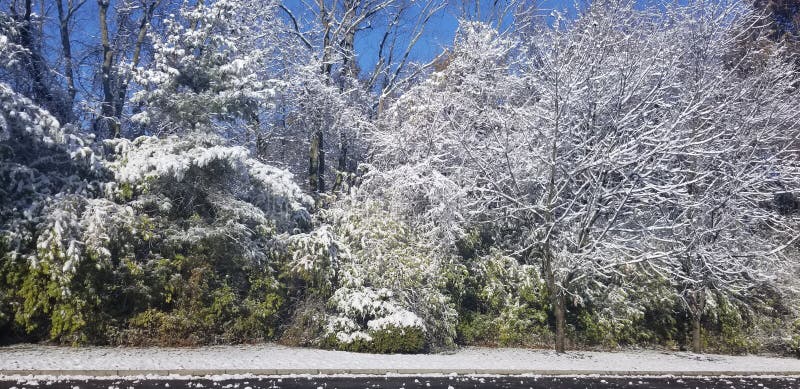 Frozen Fall Wintery Mix Autumnal Snowfall Stock Image - Image of winter ...