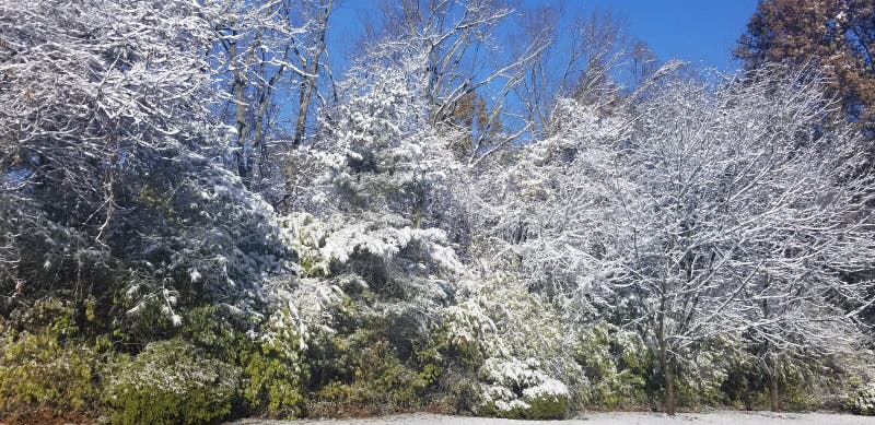 Frozen Fall Wintery Mix Autumnal Snowfall Stock Photo - Image of fall ...