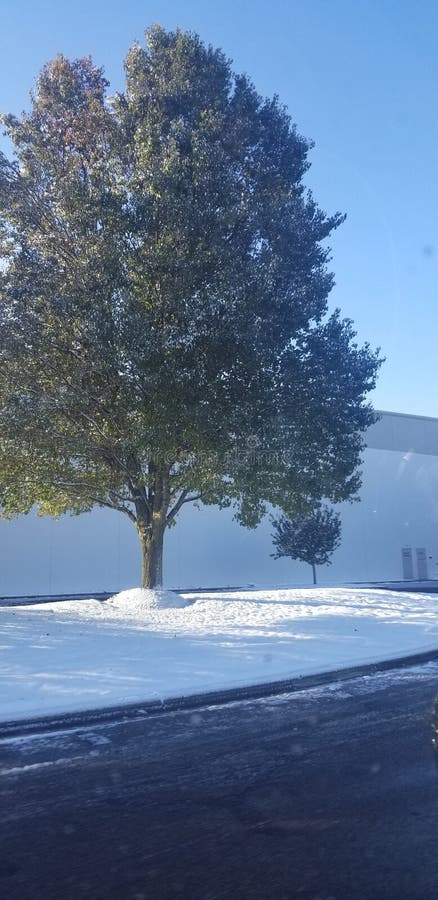 Frozen Fall Wintery Mix Autumnal Snowfall Frozen Leaves Stock Photo ...