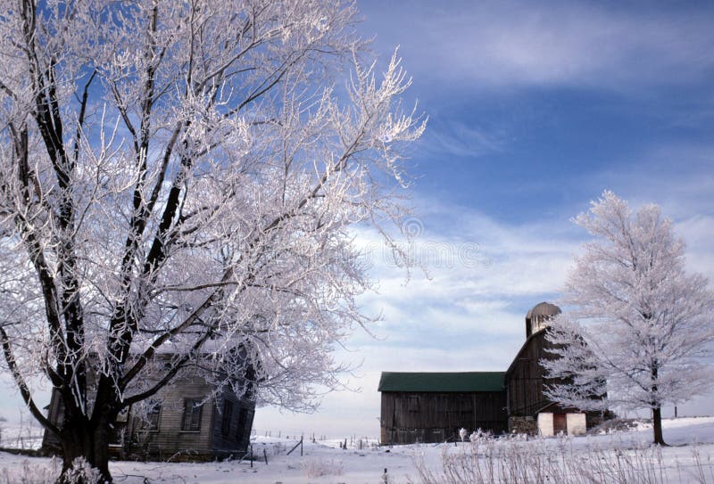 Frozen farm stock image. Image of structure, farming, snow - 4691933