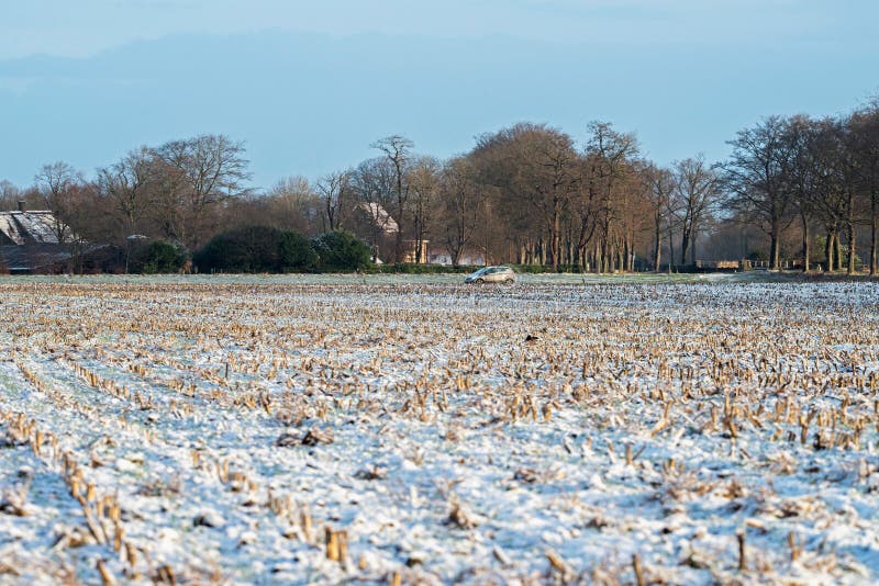 Frozen Farmland in Rural Dutch Landscape. Stock Image - Image of field ...