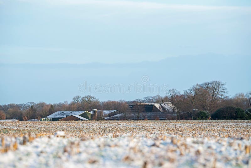 Frozen Farmland in Rural Dutch Landscape. Stock Image - Image of beauty ...