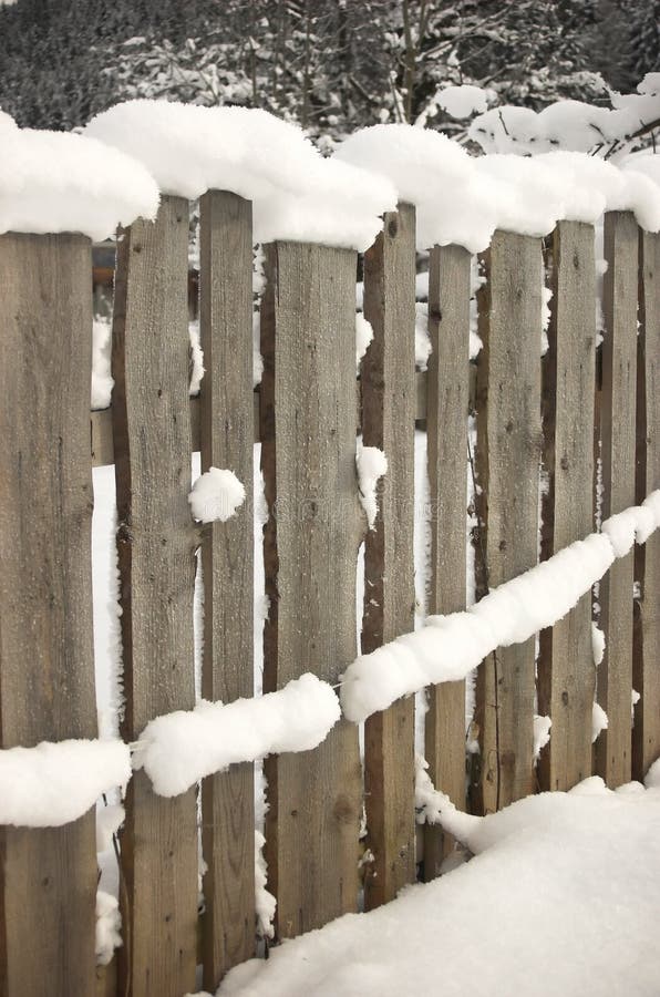 Frozen Fence Picture. Image: 4012947