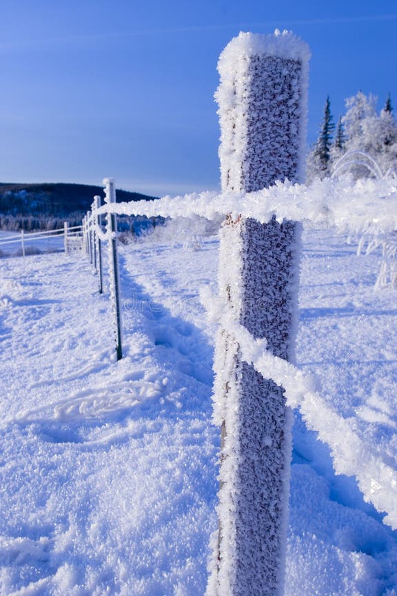 FROZEN: fence stock photo. Image of snow, dense, concept - 433318