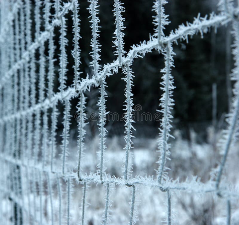 Frozen Fence, Deep Focusing Stock Image - Image of frozen, infinity: 398375