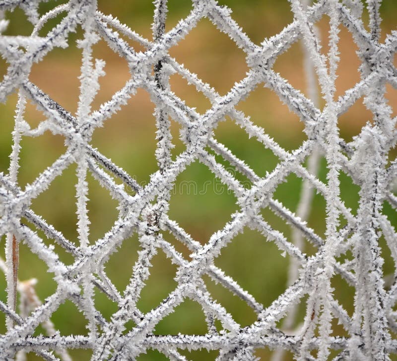 Frozen fence stock image. Image of chain, covered, metal - 47913929