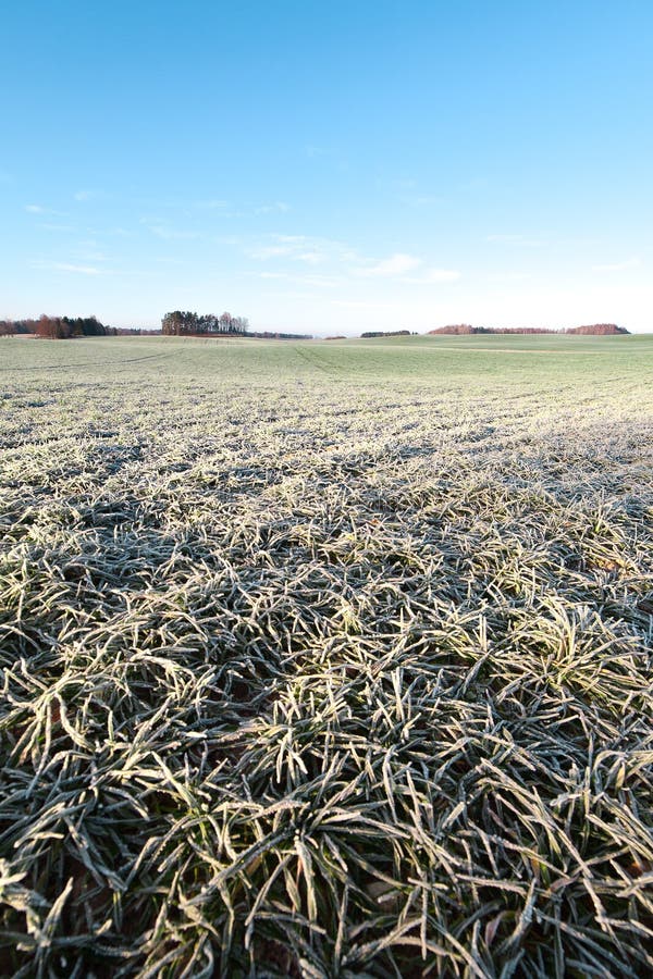Frozen field. stock image. Image of agriculture, dirt - 28562109