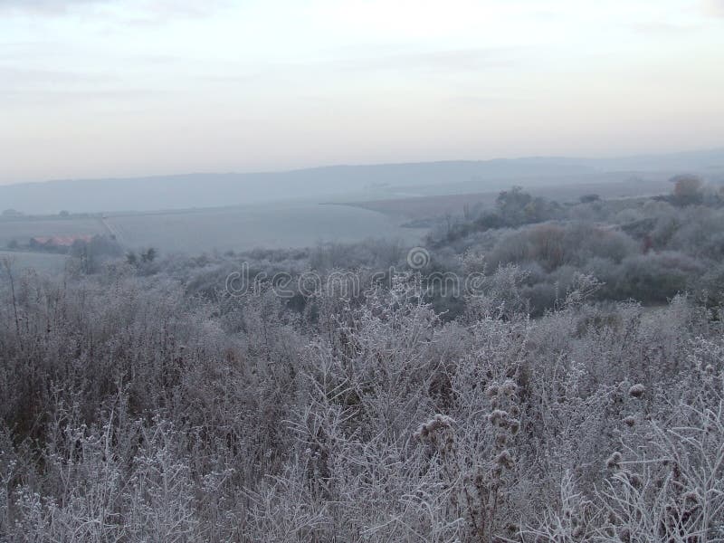 Frozen Field Picture. Image: 348266