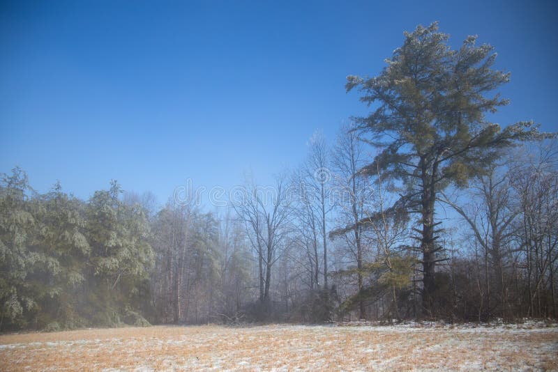 Frozen Field stock photo. Image of frozen, sleet, cold - 81667582