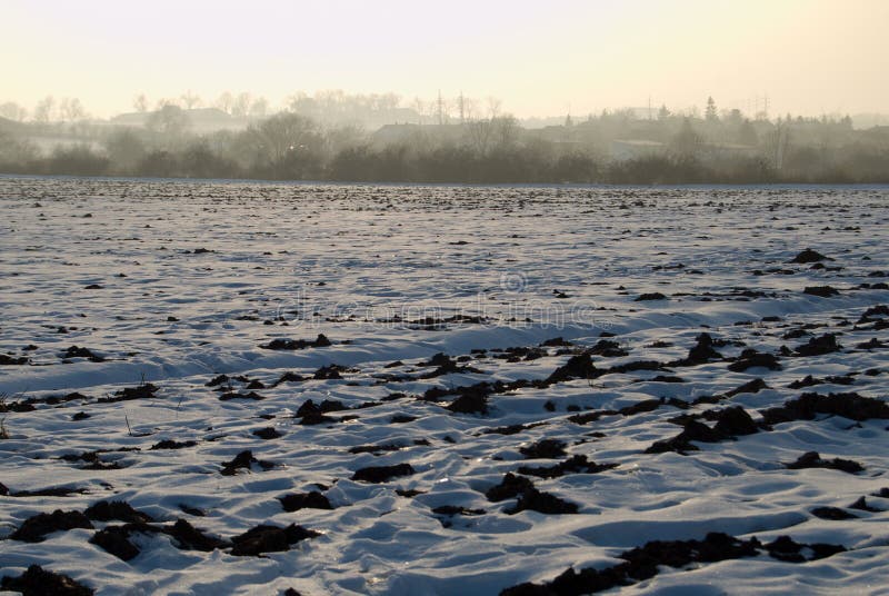 Frozen Field with Snow in the Winter Stock Image - Image of landscape ...