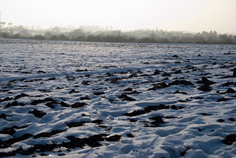 Frozen Field with Snow in the Winter Stock Image - Image of frost, flat ...