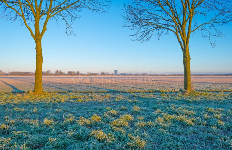 Frozen field in winter stock image. Image of countryside - 77826715