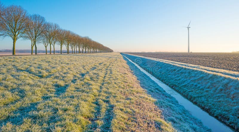 Frozen field in winter stock image. Image of winter, blue - 77826735