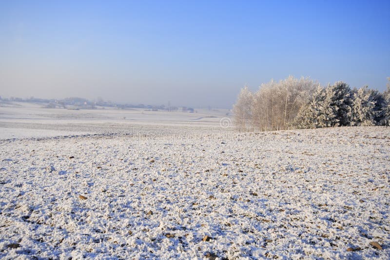 Frozen fields and meadows stock image. Image of frost - 25405137