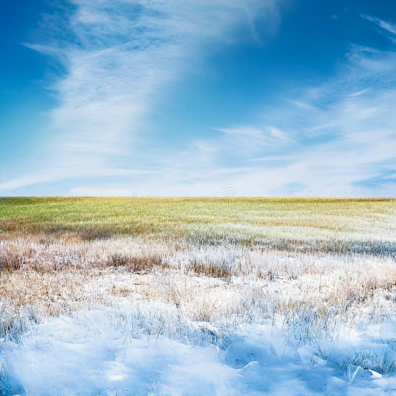 Frozen Fields, Winter Landscape Stock Photo - Image of cold, natural ...