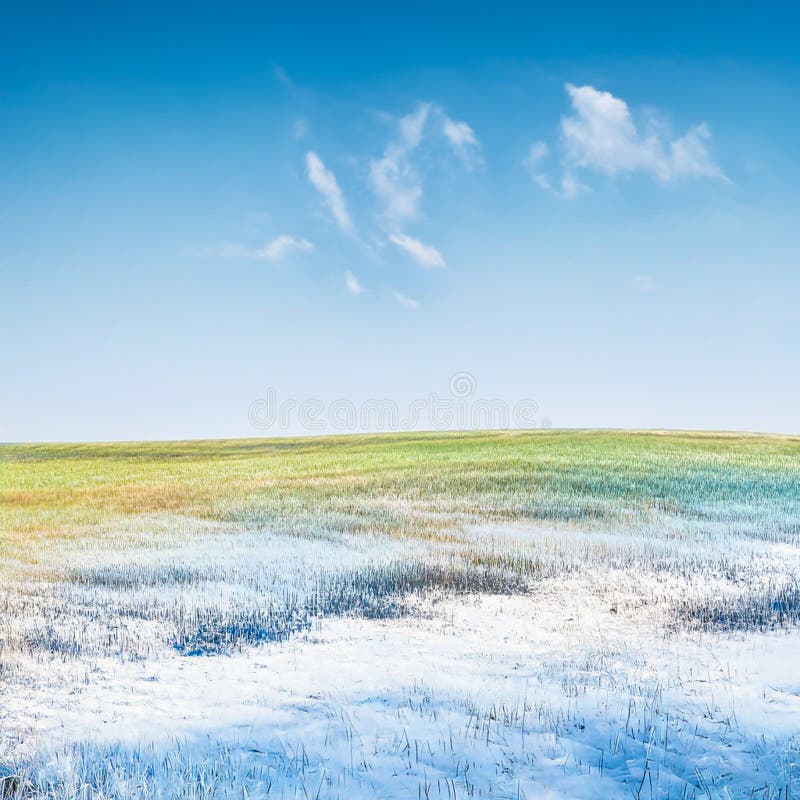 Frozen Fields, Winter Landscape Stock Photo - Image of outdoor, nature ...