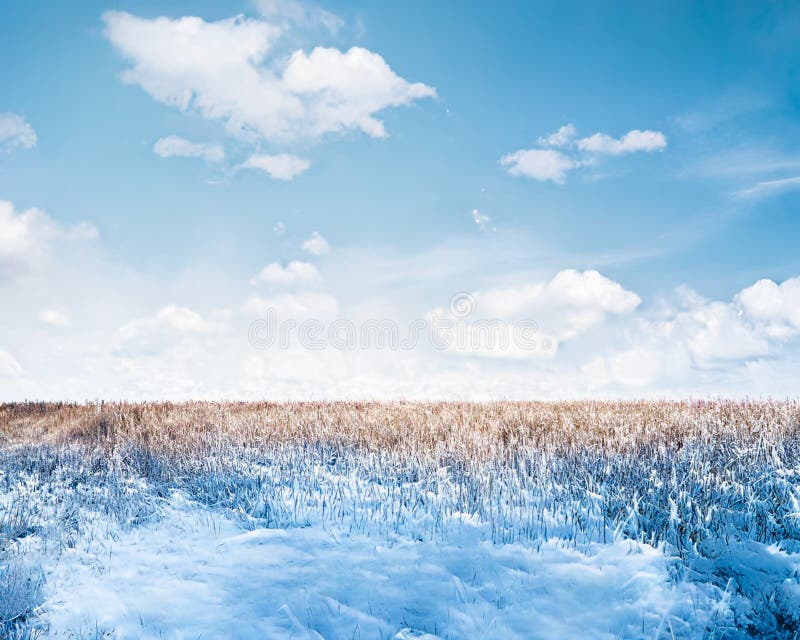 Frozen Fields, Winter Landscape Stock Photo - Image of frozen, season ...