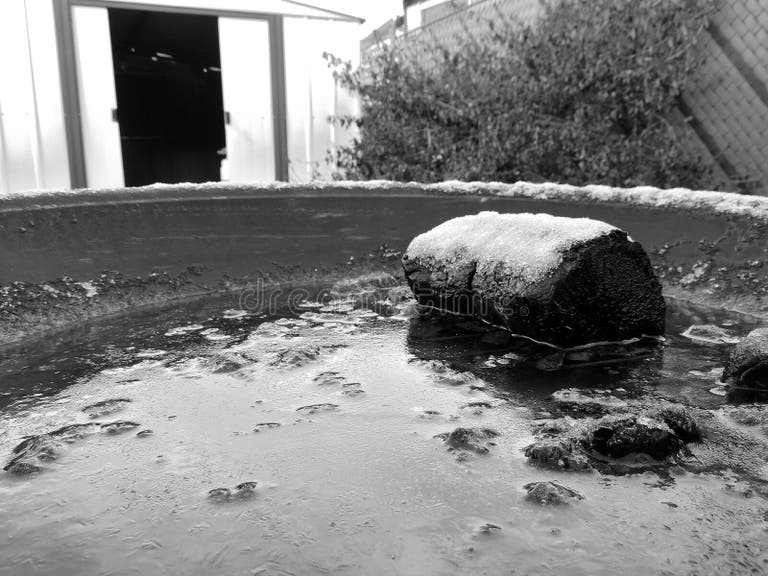 Frozen Fire Pit stock image. Image of desert, logs, winter - 48473989