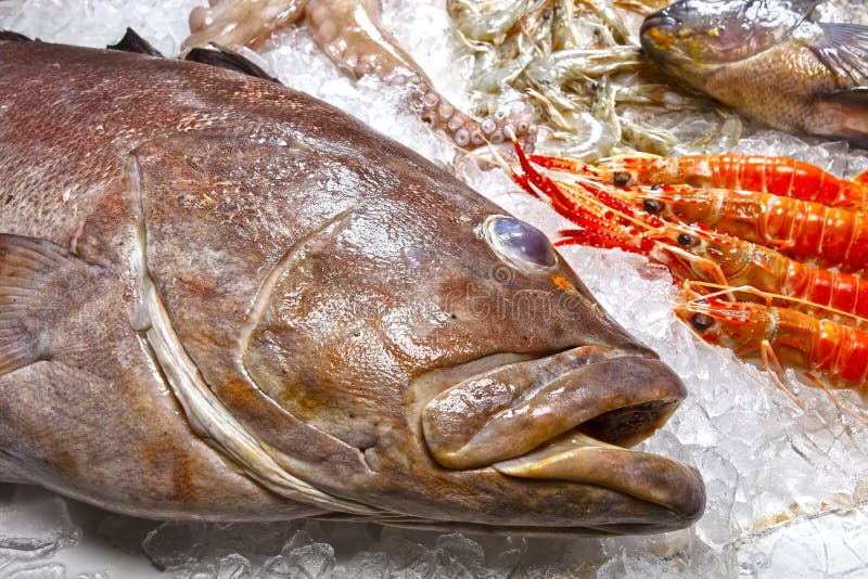 Frozen fish stock image. Image of freshness, gourmet - 60160991