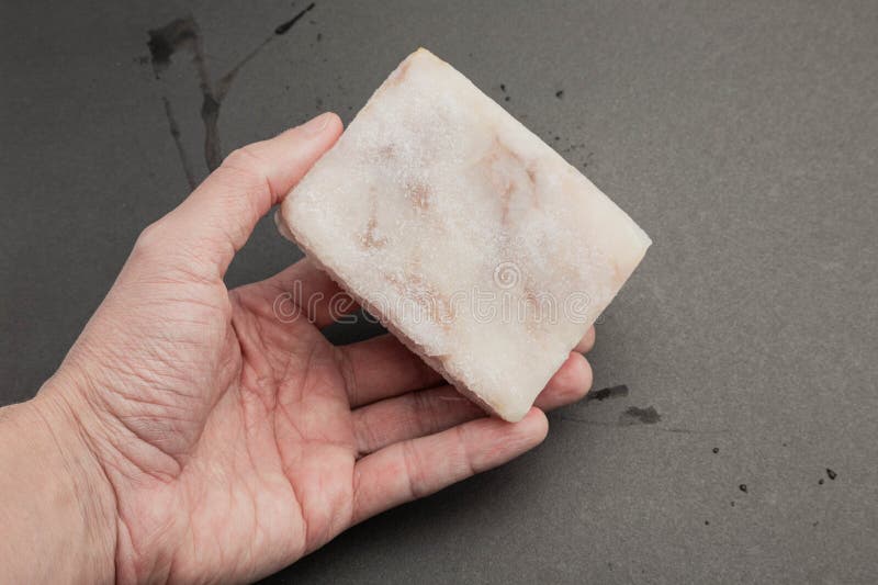 Frozen Fish Briquette stock image. Image of compact - 315898201