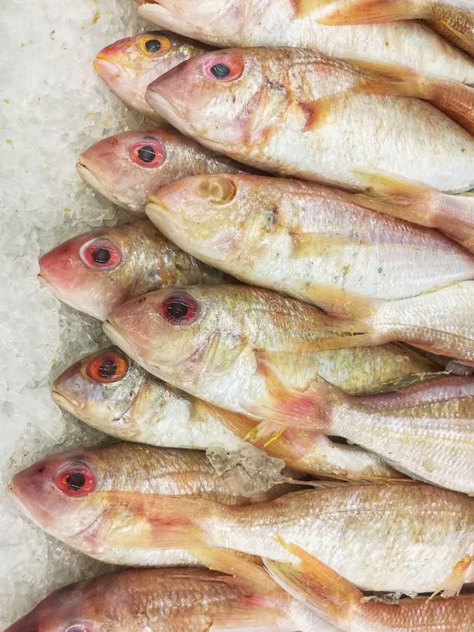 Frozen Fish, Five Lined Threadfin Bream , on the Ice at Fish Marke ...
