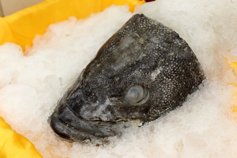 285 Hake Fish Head Stock Photos - Free & Royalty-Free Stock Photos from ...