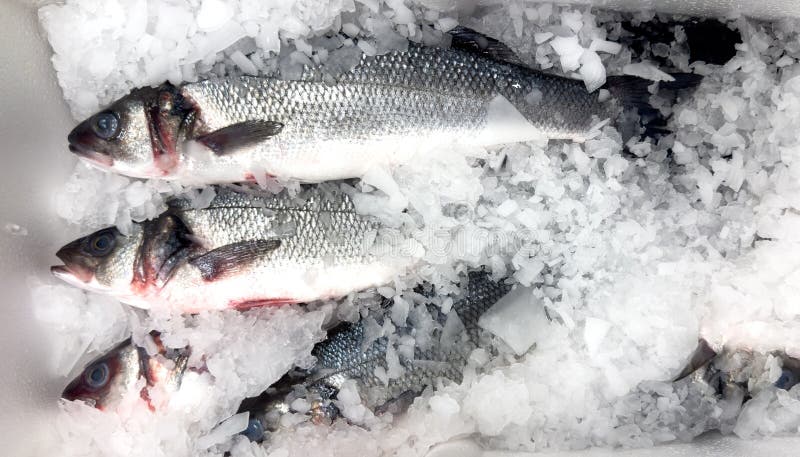 Frozen Fish in Ice on a Counter in a Market Stock Photo - Image of meat ...