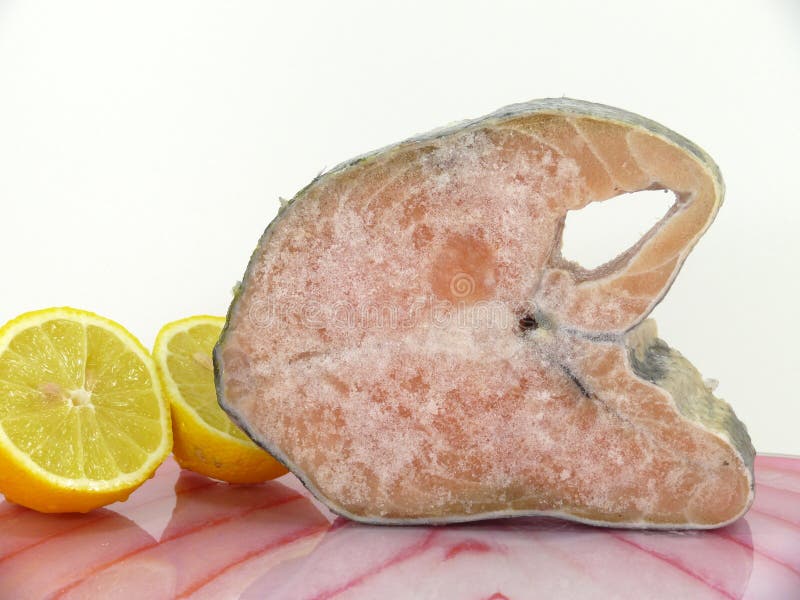 Frozen fish with lemon stock photo. Image of lemon, edible - 64400200