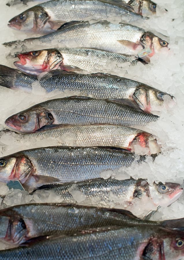 Frozen fish. stock image. Image of cold, frozen, delicious - 47459019
