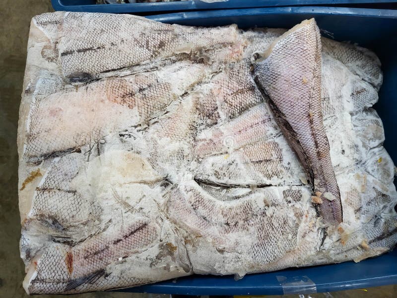 Frozen Fish is on the Market Shelf for Sale Stock Image - Image of cold ...