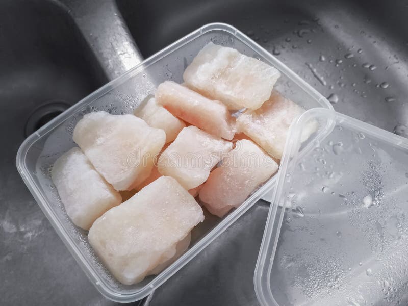 Frozen fish in plastic box stock photo. Image of plastic - 167486242