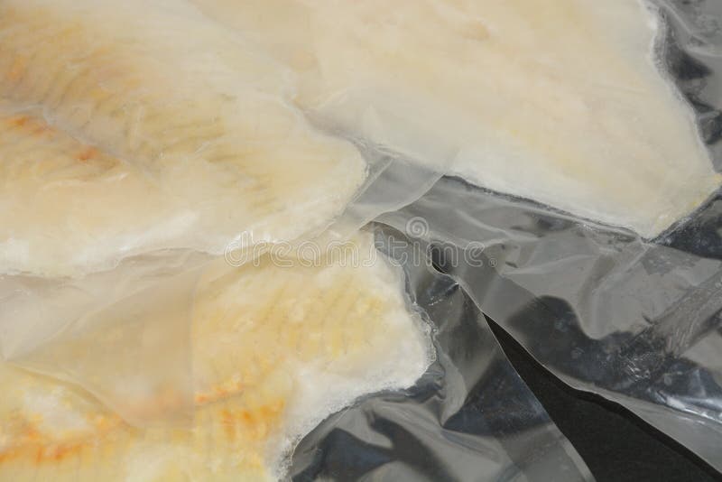 Frozen flounder fillets stock image. Image of fish, meat - 65268053