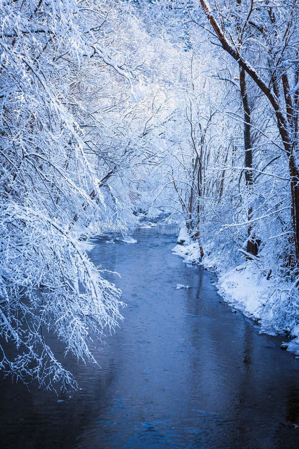 Frozen Forest with Snow and River Stock Image - Image of light ...
