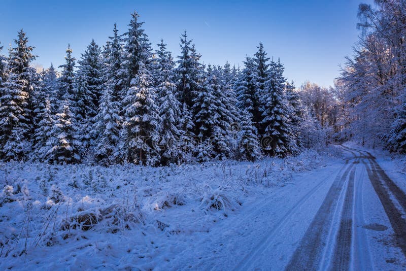 Frozen Forest with Snowy Road at Dawn in Winter Stock Image - Image of ...